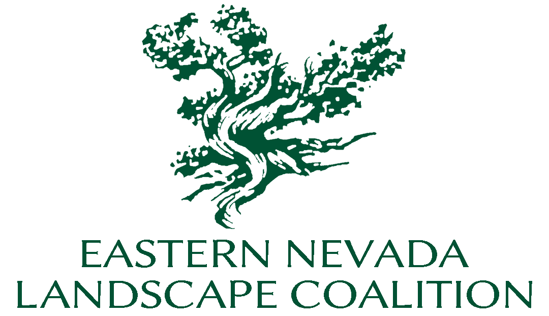 Home - Eastern Nevada Landscape Coalition